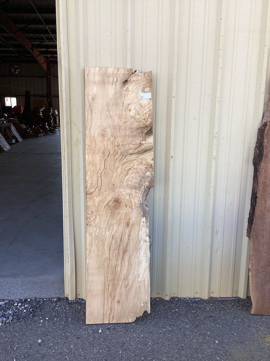 Silver Maple Slab Lumber | AncesTREE™ - Urban Lumber Market
